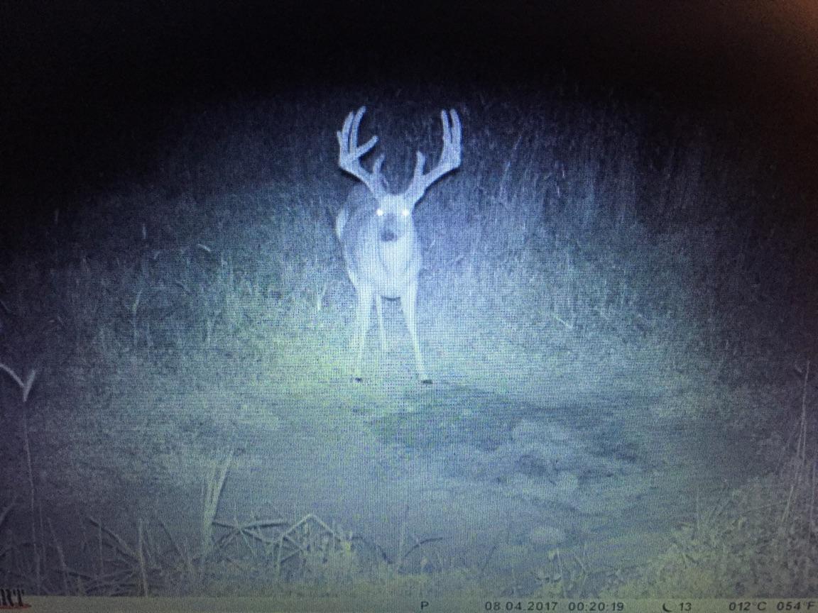 Anonymous pics 2017 | Iowa Whitetail Forums